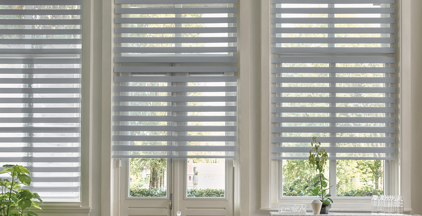 Duo Blinds - Wasson Interiors